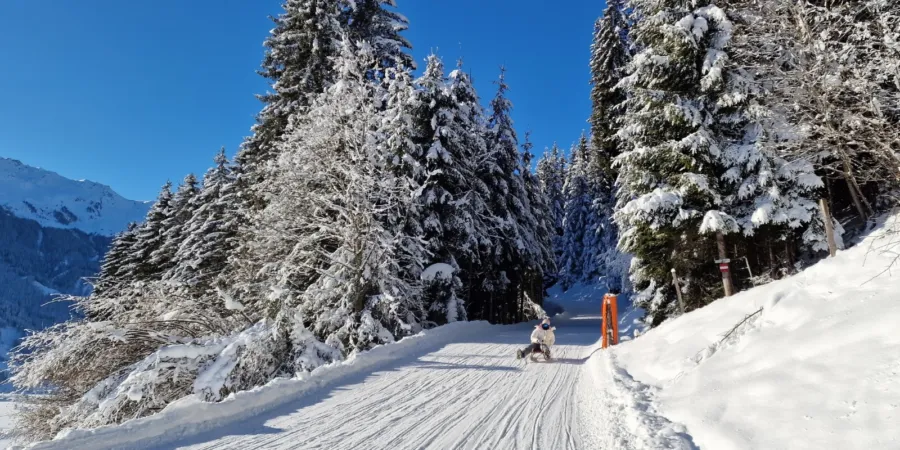 ChaletsPlus | 5 fun winter sports activities besides skiing in the…