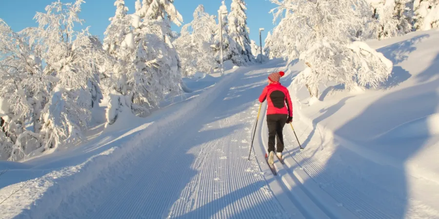 ChaletsPlus | 5 fun winter sports activities besides skiing in the…