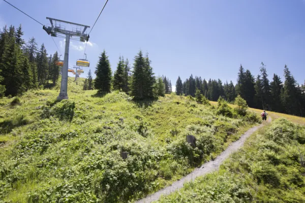 ChaletsPlus